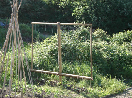 Gardening photographs 1